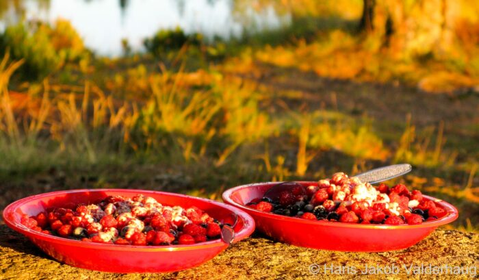 Food, Alcohol and Water - Norwegian Cruising Guide